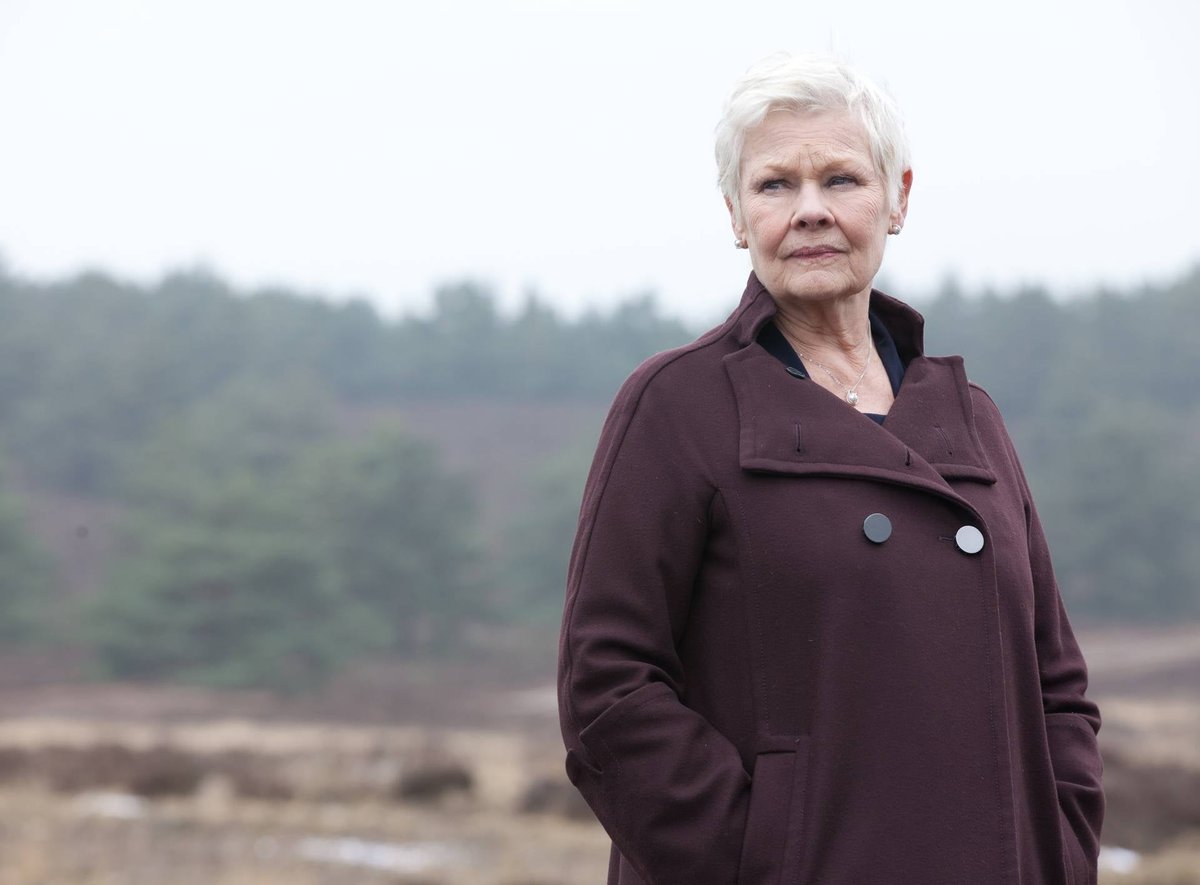 Judi Dench Faces Dimming Sight and Burning Return to Silence ...