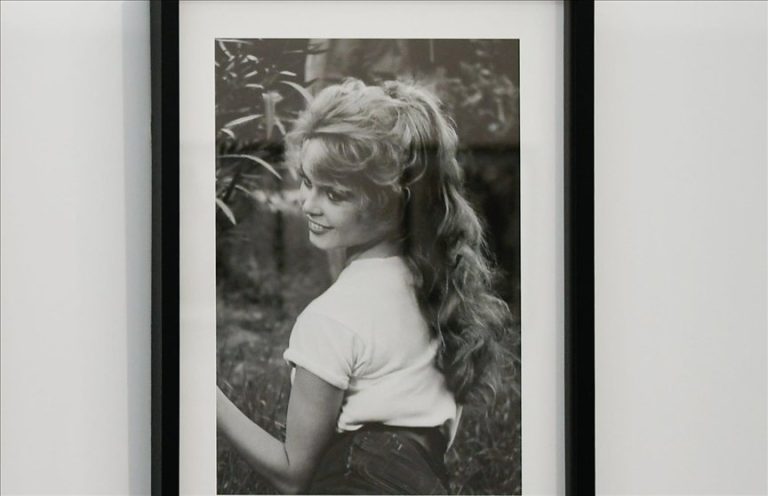 Brigitte Bardot: From Screen Siren to Animal Guardian, An Icon’s Final ...