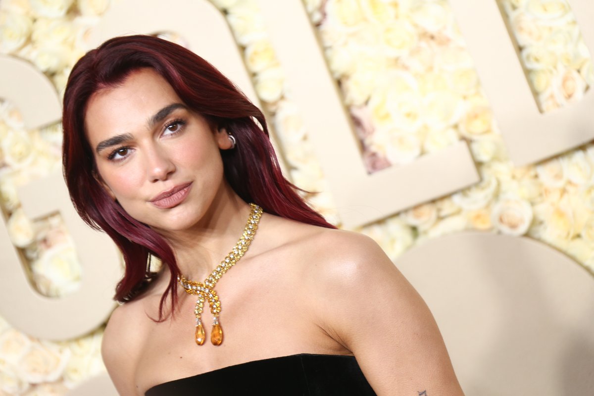 Dua Lipa’s Dating World Exposed: From Callum Turner to Surprising ...