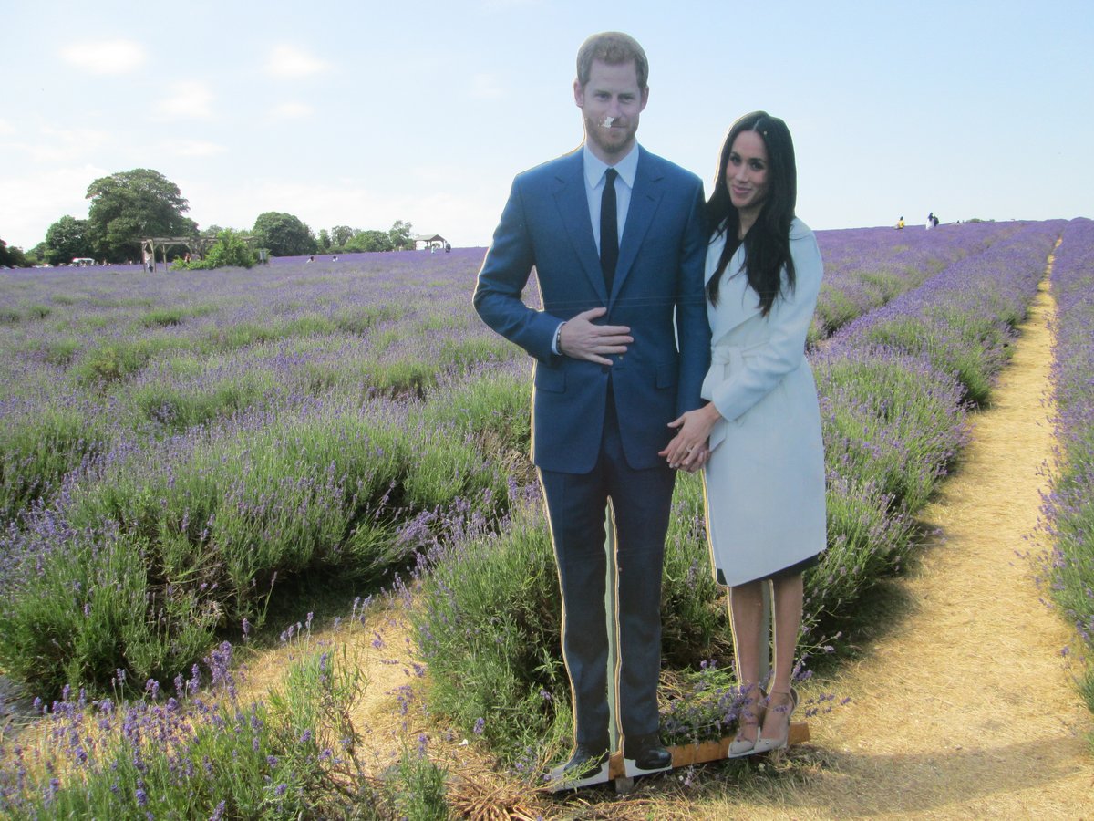 Meghan and Harry’s 2026 Playbook Exposed - Celebrity Storm