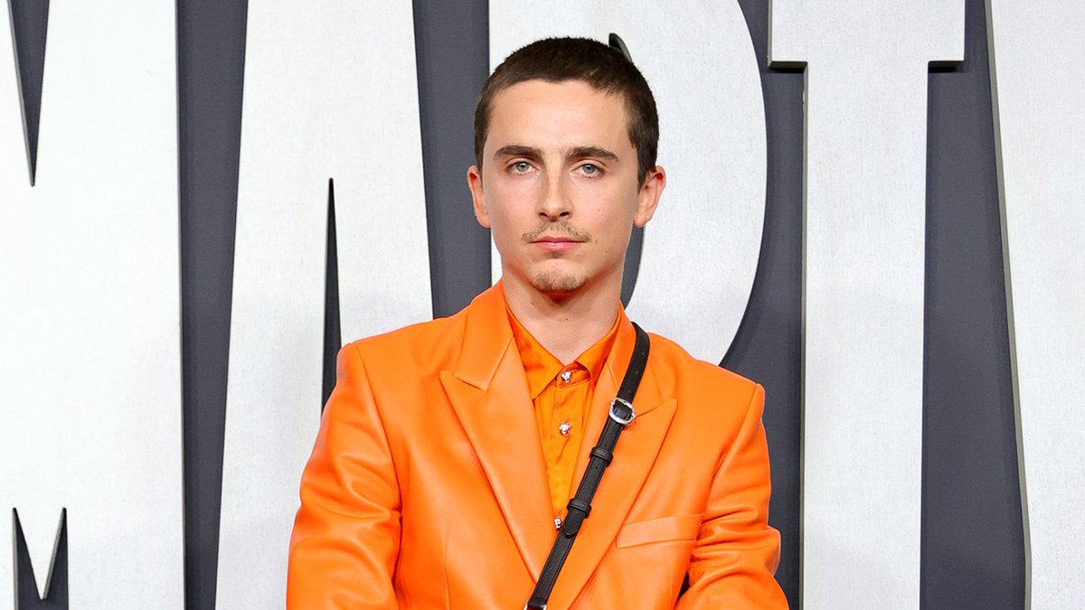 Timothée Chalamet Drops Epic EsDeeKid Collab Amid Masked Rap Rumors ...