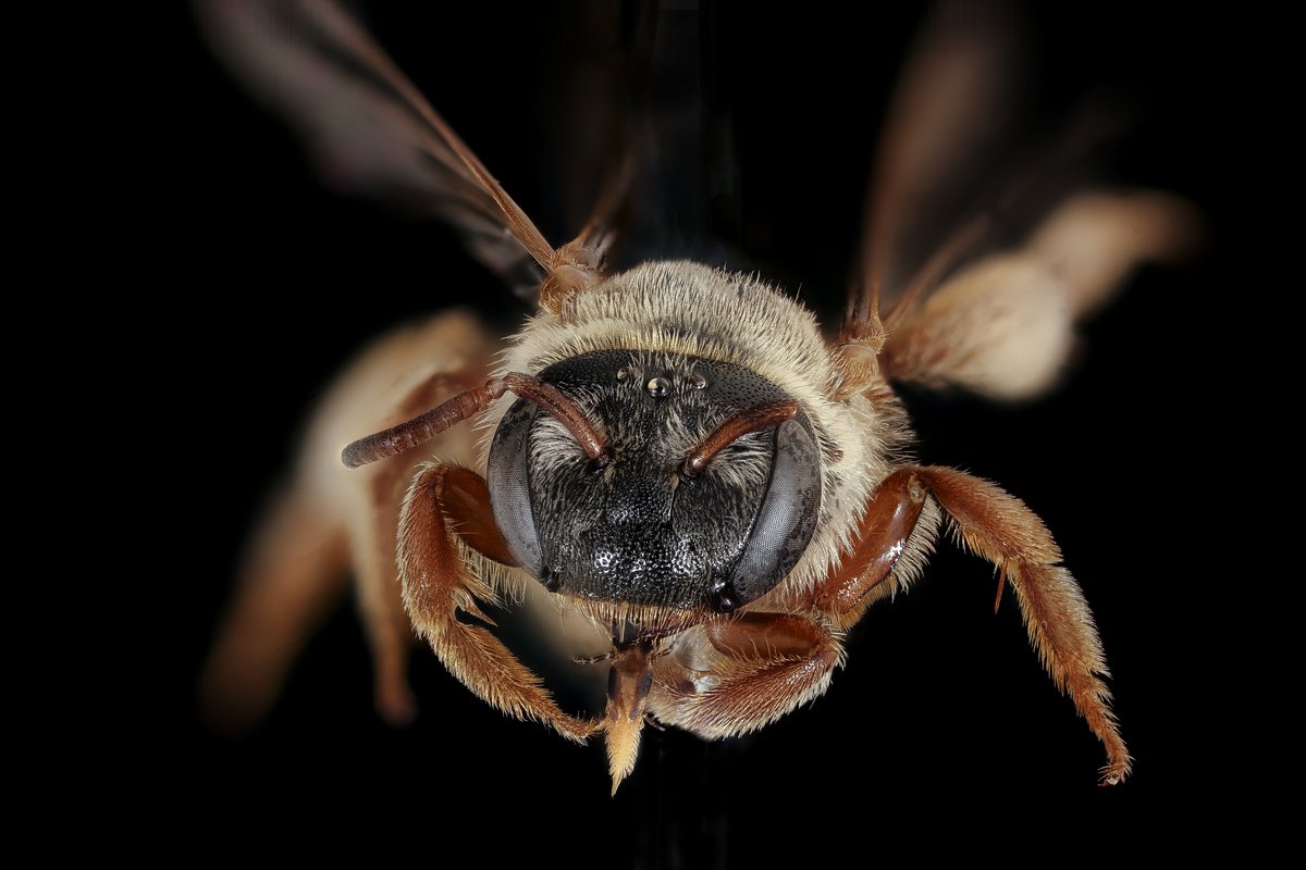 Awards Season Sparks: The 2026 Calendar Unveiled with Firecracker Dates ...