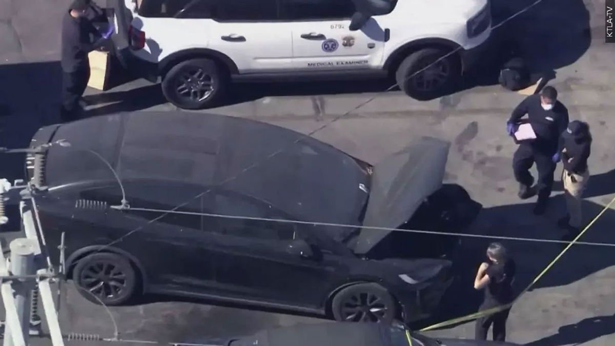 D4vd Ally Neo Langston Arrested at Mom’s Montana Home - Celebrity Storm