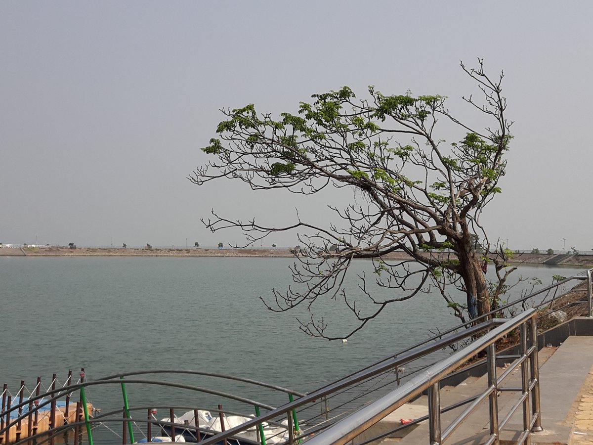 Hoover Reveals Cancer Fight and Radiation Battle - Celebrity Storm