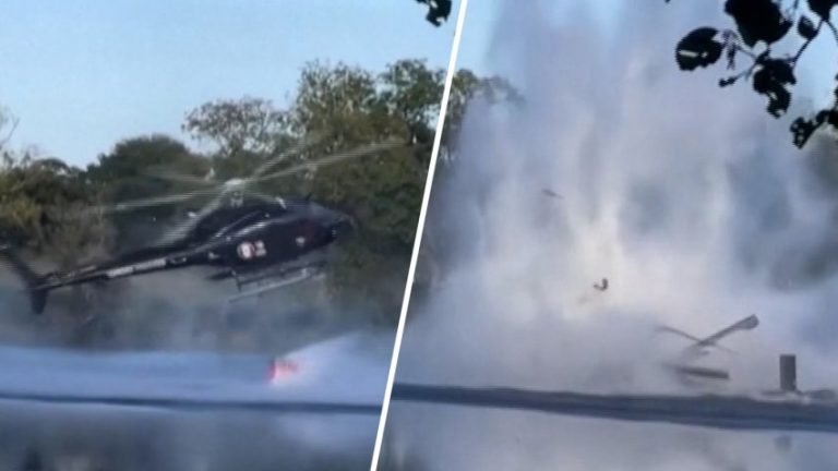 Glen Powell and Michelle Randolph Sparks Go Public Again - Celebrity Storm